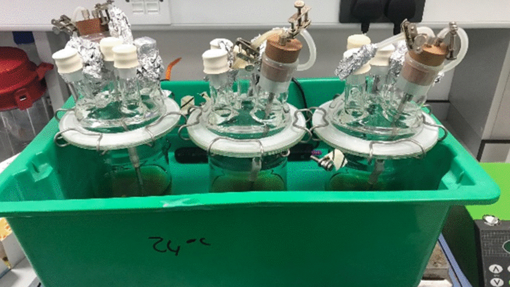 Scientists create low-cost bacterial-biofuel bioreactor Scientists create low-cost bacterial-biofuel bioreactor