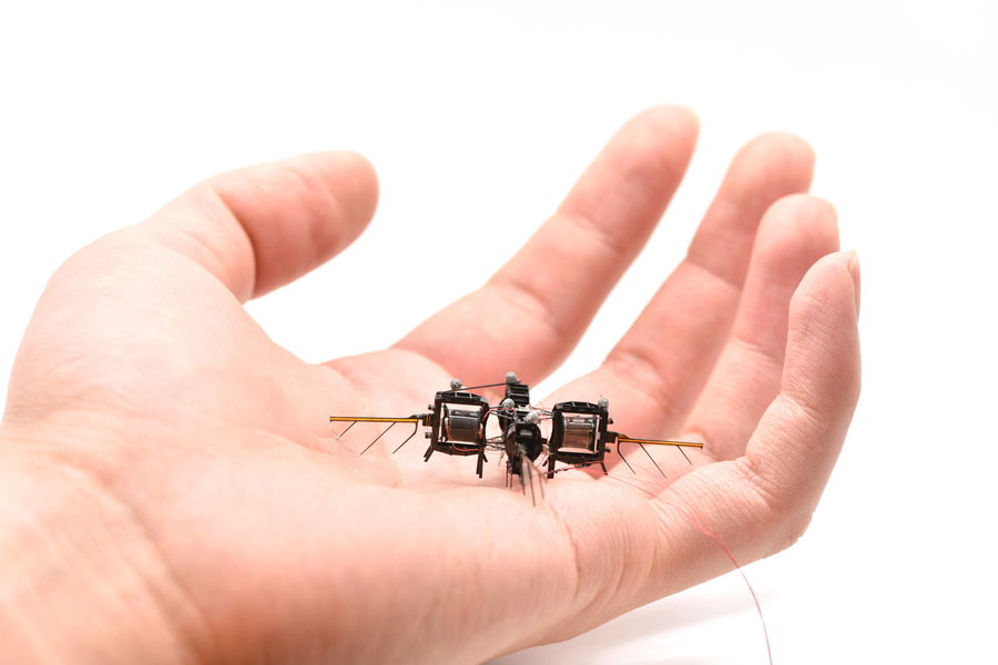 Engineers design fast, agile and durable robotic insect