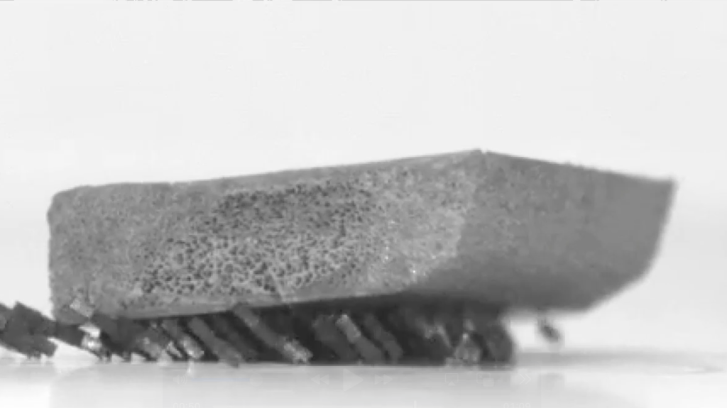 Swarms of ant-like robots can lift heavy objects