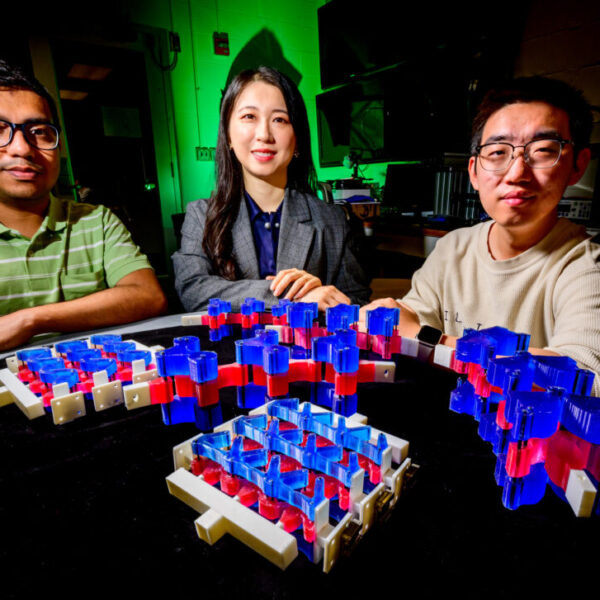 Engineers Without Borders UK launches new Engineering for People Design ...