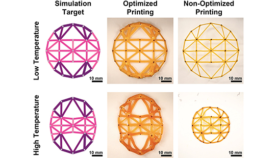 AI produces shape-morphing materials in minutes